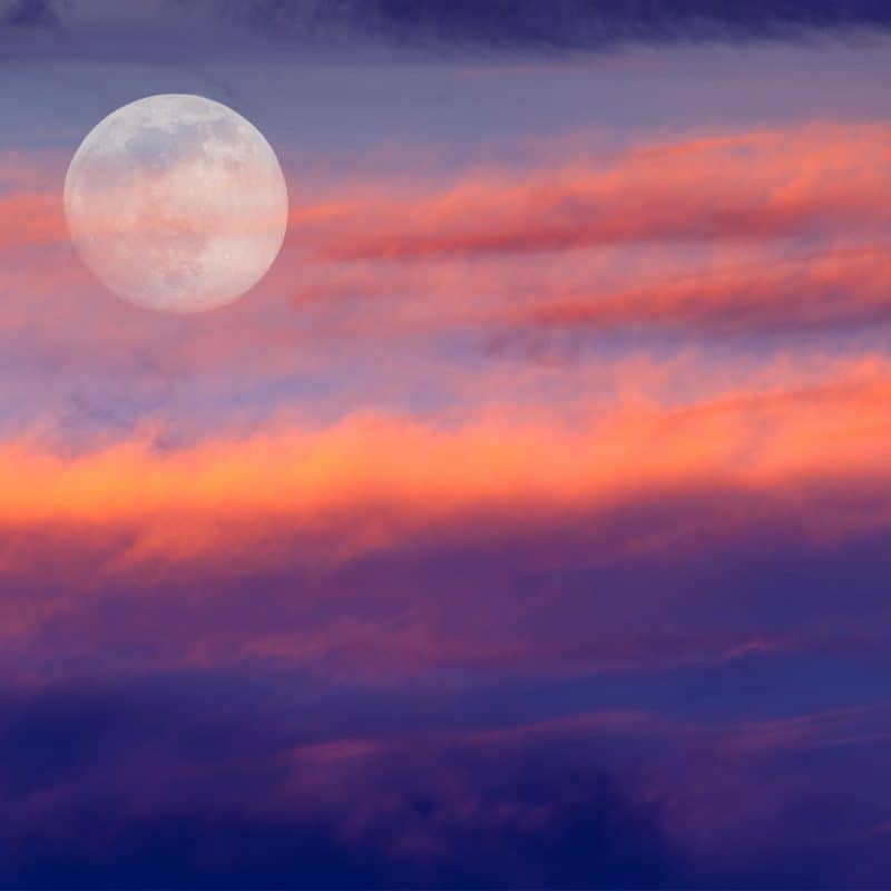 Virgo Full Moon Maya White AstroCartoGraphy Certified